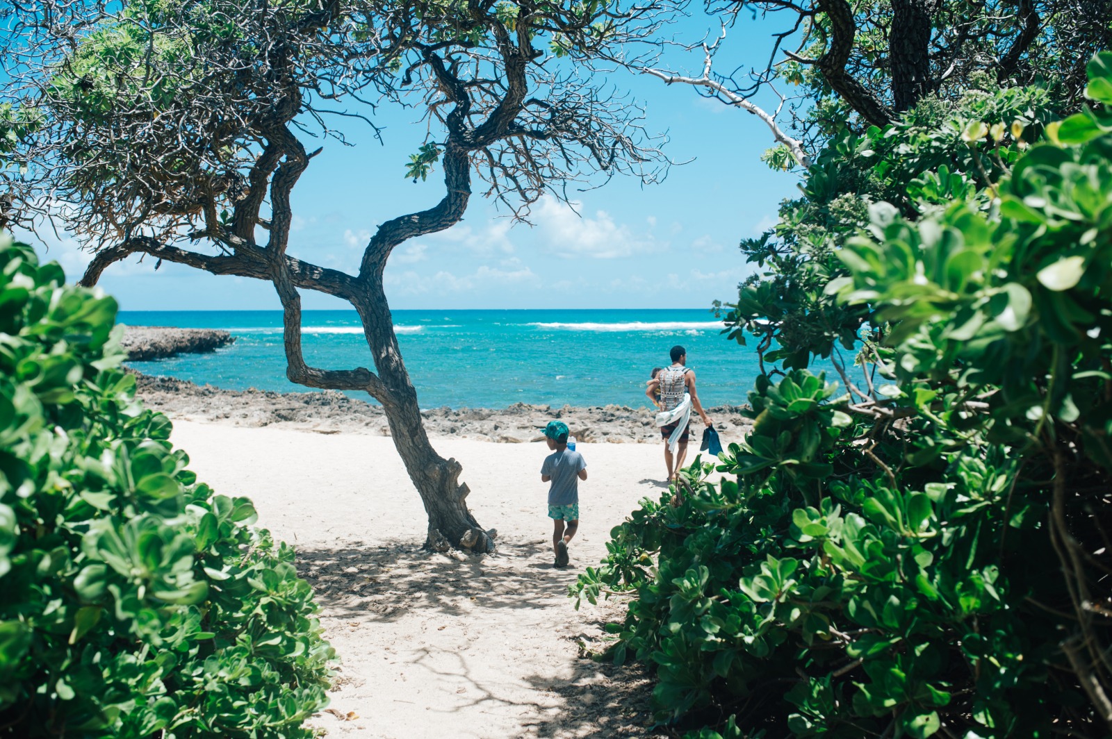 ホノルル おすすめのスポットガイド - Expedia JP Stories